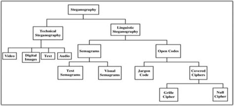 Classification Of Steganography Techniques 7 Download Scientific