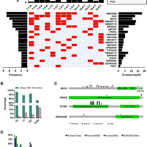 Landscape Of Disturbed Pathways In Aomdss Mouse Model And Its