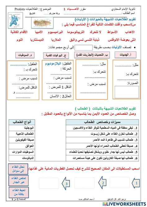 تنوع الطلائعيات تفاعلية Liveworksheets 1474615
