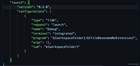 解决mac中vscode调试c 代码无法处理输入的问题 vscode终端无法输入 csdn博客