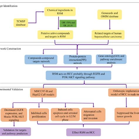 Synthesis Of Ergosterol Peroxide A Diagram Showing Synthesis Of