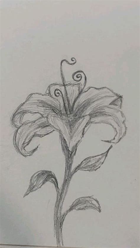 Croquis Faciles Art Sketches Doodles Flower Sketches Pencil Drawings