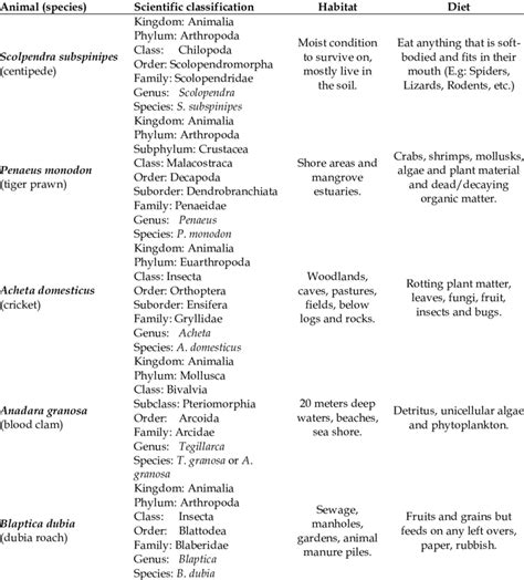 Classification Of Plants And Animals