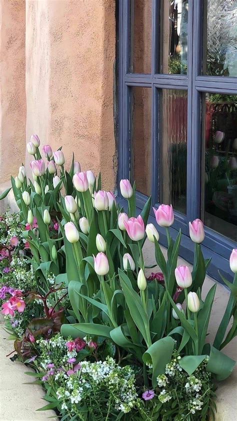 Ronnie Gladney Ronnie Gladney Added A New Photo