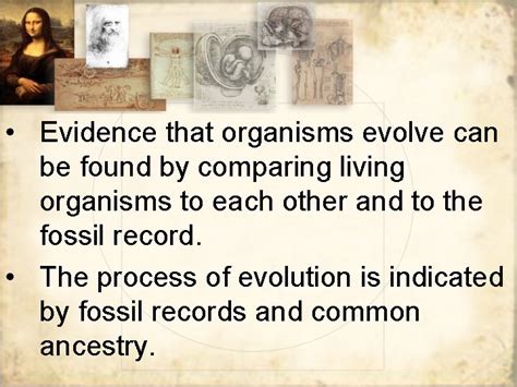 Species Variation Obj 6 Describe Evidence Of Species