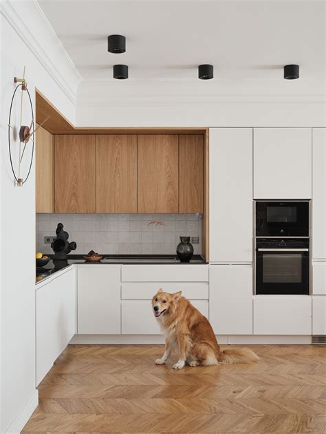 Small Modern Kitchen White White Kitchen Cabinets Pictures Options