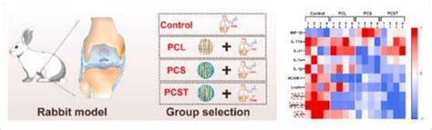 华盈细胞因子芯片技术助力多项生物材料研究发表1区高水平文章 免疫 软骨 炎症