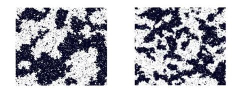 log log scale plot of magnetic susceptibility versus t − t c for a