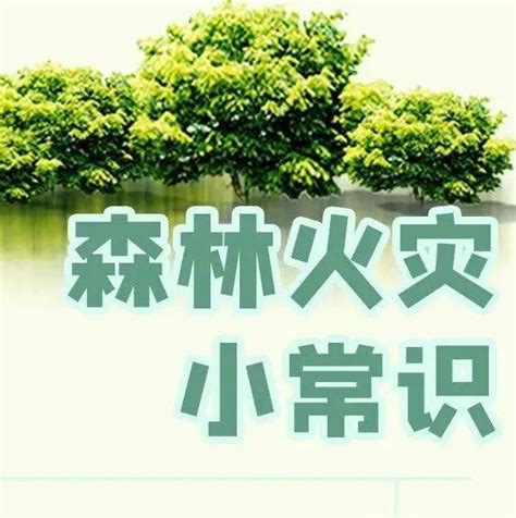 防患于未“燃”，森林防火，人人有责！山东省应急管理厅