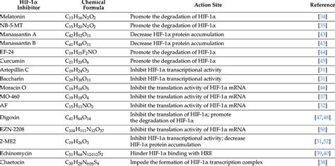 Action Sites Of Hif 1α Inhibitors Download Scientific Diagram