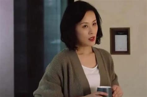 完美伴侣白梅结局