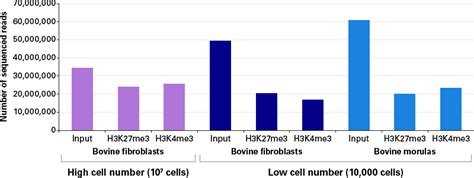 Low Cell Number ChIP Seq Using The ThruPLEX DNA Seq Kit As A Tool For
