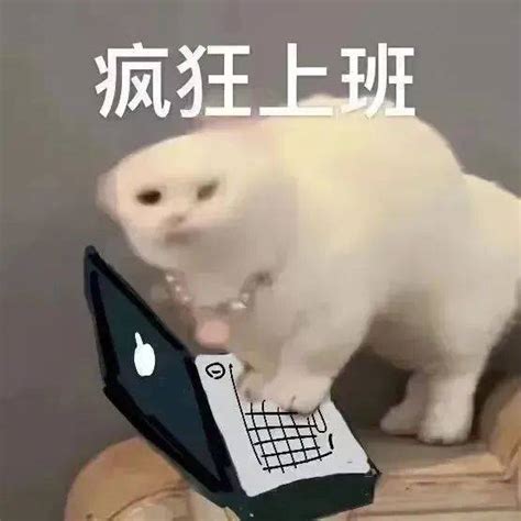 表情包 俯视你们这群five 拿图点赞吱声 财经头条