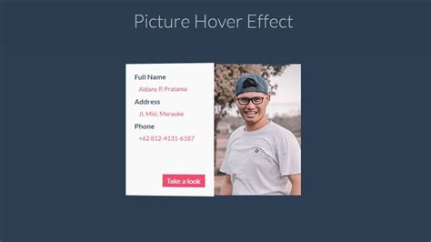 Efek Hover Gambar Kartu Profil Dengan Menggunakan Html Css Javascript