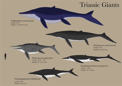 Triassic Giants By Triplebomber2000 On Deviantart