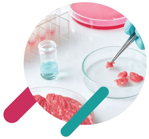 Alternative Proteins And Novel Foods