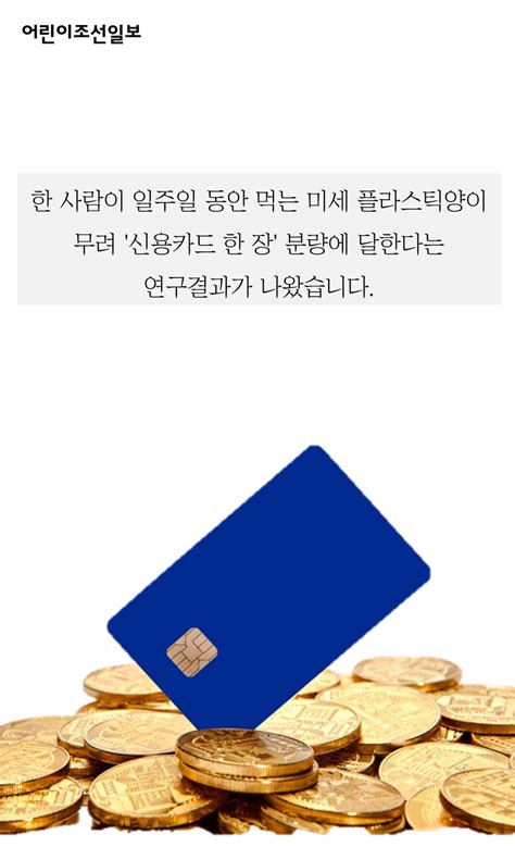 매주 신용카드 한 장 미세플라스틱 먹고 있다고 네이버 포스트