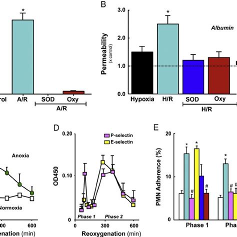 Ros Production By The Electron Transport Chain Etc Role Of