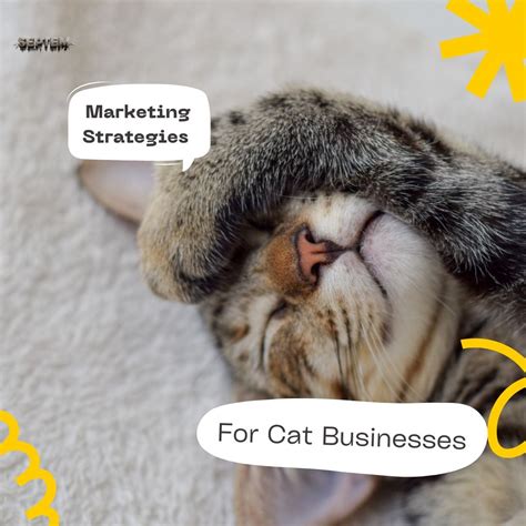 Marketing Strategies For Cat Businesses Can Be Tailored To Various