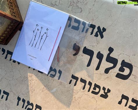 Yedidia Vital Most Liked Photos And Posts Gethu Cinema