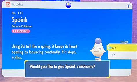 Gen 9 Shiny Full Odds Spoink I Just Started The Game Today R