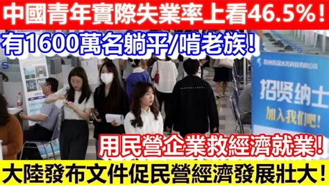 🔴中國青年實際失業率上看465！有1600萬名躺平啃老族！大陸發布文件促民營經濟發展壯大！用民營企業救經濟就業！｜cc字幕