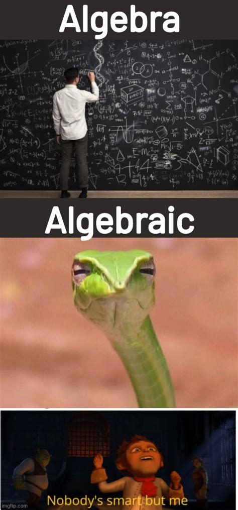 Algebra Memes