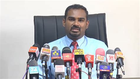 More Than 1000 Docs Migrated In 2022 The Island