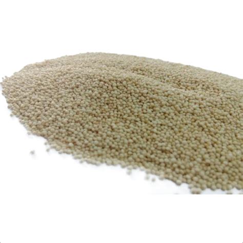 Natural Amaranth Seed Purity 99 At Best Price In Anantapur Aswartha