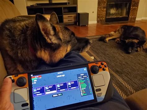 My Steamdeck Setup R Steamdeck