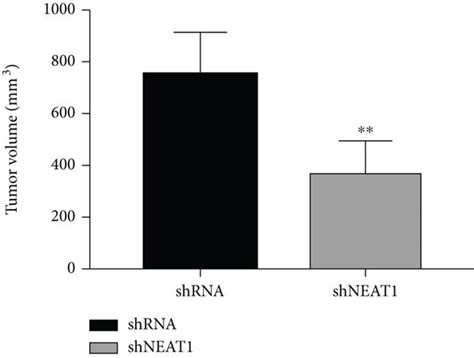 Knockdown Neat1 Attenuates Tumor Growth And Inflammation Related Gene