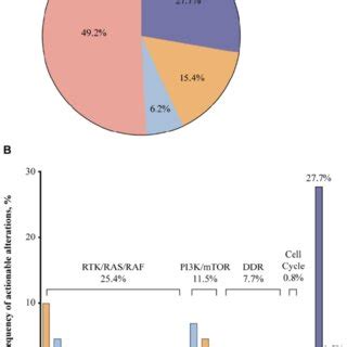 Potentially Actionable Alterations Based On Oncokb Criteria A And The