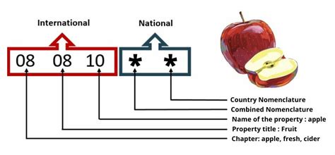 Freight Shipping Between Malaysia And Europe Rates And Duties