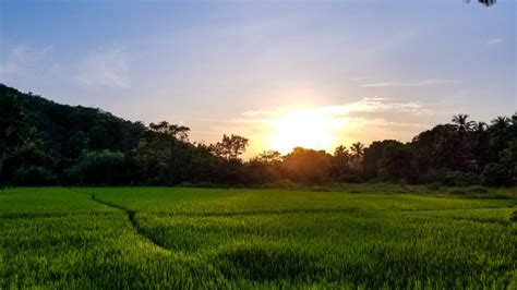 Places To Visit In South Goa A Walk In The World Agonda Palolem