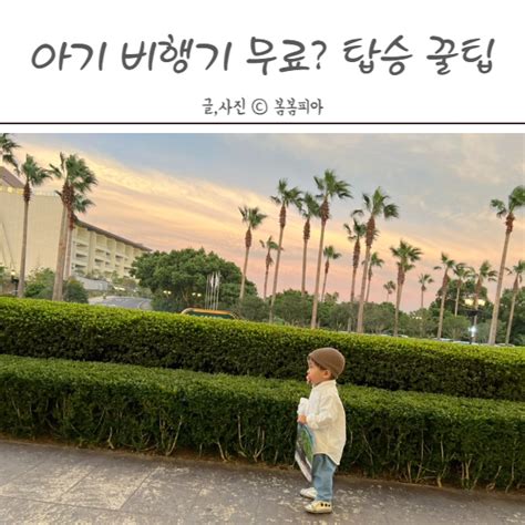 아기 비행기 무료 신생아 비행기 탑승 준비물 네이버 블로그