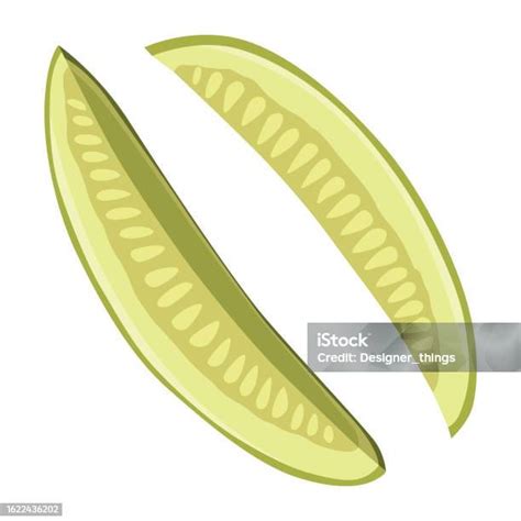 수제 절인 오이 포장 라벨 메뉴 간판 또는 쇼케이스를 위한 절인 음식의 클립 아트 발효 채소 소금으로 작은 오이를 크런치 건강한 채식 음식 건강한 식생활에 대한 스톡 벡터