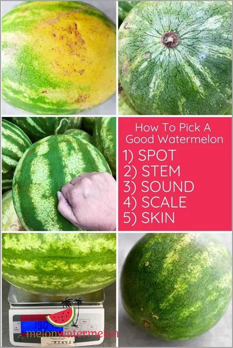 Master The Art Of Choosing The Perfect Watermelon Every Time With These