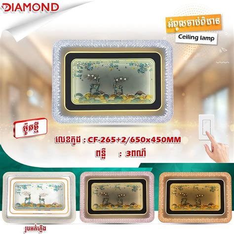 អំពូលពិដានសម្រាប់ដេគរបែបប្រណិ ក្រុមហ៊ុន ហួត ជា ស្រុកបាកាន