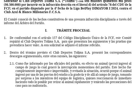 Deportes Tolima Tendrá Que Pagar Una Millonada Por Invasión De Un Perro A La Cancha Infobae