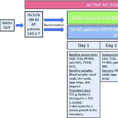 Trial Overview Of Phase Iii During Active Atopic Dermatitis Ad And Download Scientific