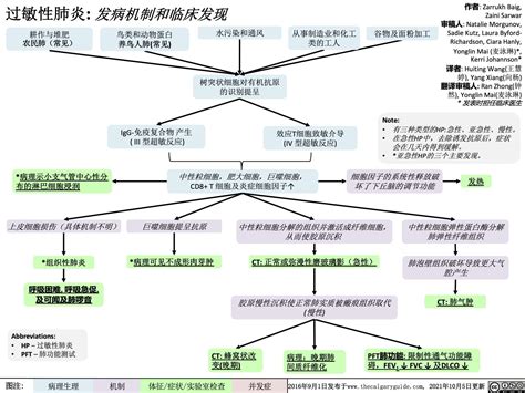 过敏性肺炎 发病机制和临床发现 Calgary Guidecalgary Guide