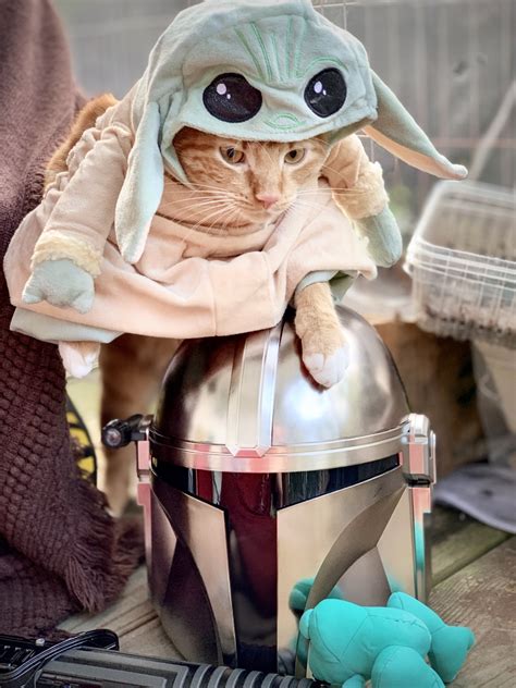 Star Wars Costumes For Cats