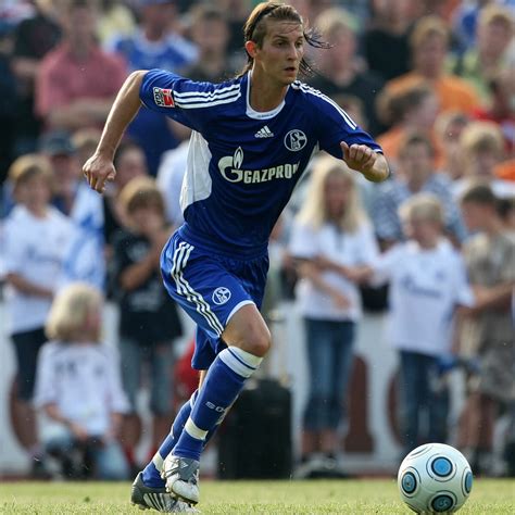 Predrag Stevanovic Fc Schalke 04