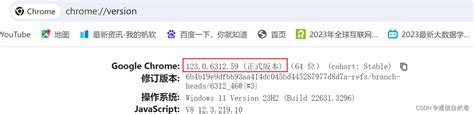 Chrome浏览器123版本对应chromedriverexe下载，安装及环境变量配置chromedriver 123 Csdn博客