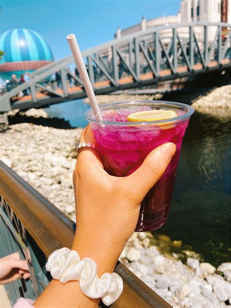 Violet Sake At Disney Springs Disney Springs Sake Orlando