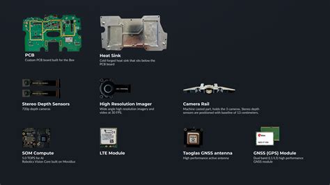 There Is Nothing Like A Bee