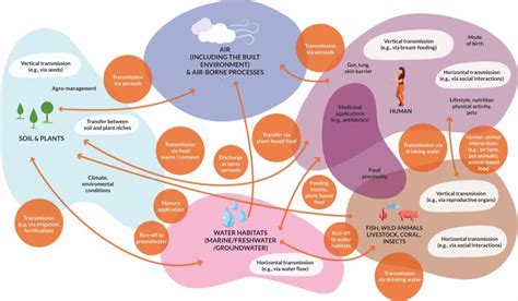 Dr Amine Zorgani On Linkedin Myinspiration Microbiome Planet 18