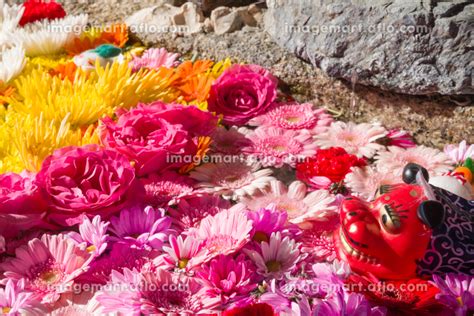 別小江神社の花手水1月名古屋市の写真素材 209396316 イメージマート
