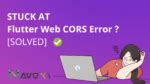 Solved Flutter Web Cors Error Navoki